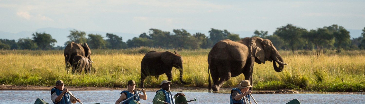 Zimbabwe - Selous Safaris